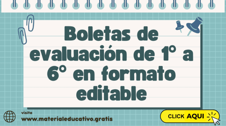 Boletas de evaluación de 1° a 6° en formato editable