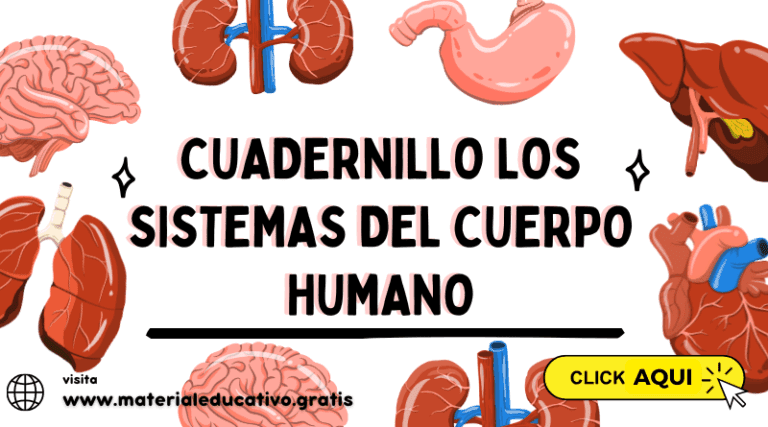 CUADERNILLO LOS SISTEMAS DEL CUERPO HUMANO