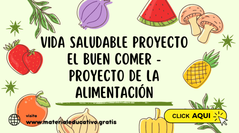 VIDA SALUDABLE PROYECTO EL BUEN COMER - PROYECTO DE LA ALIMENTACIÓN